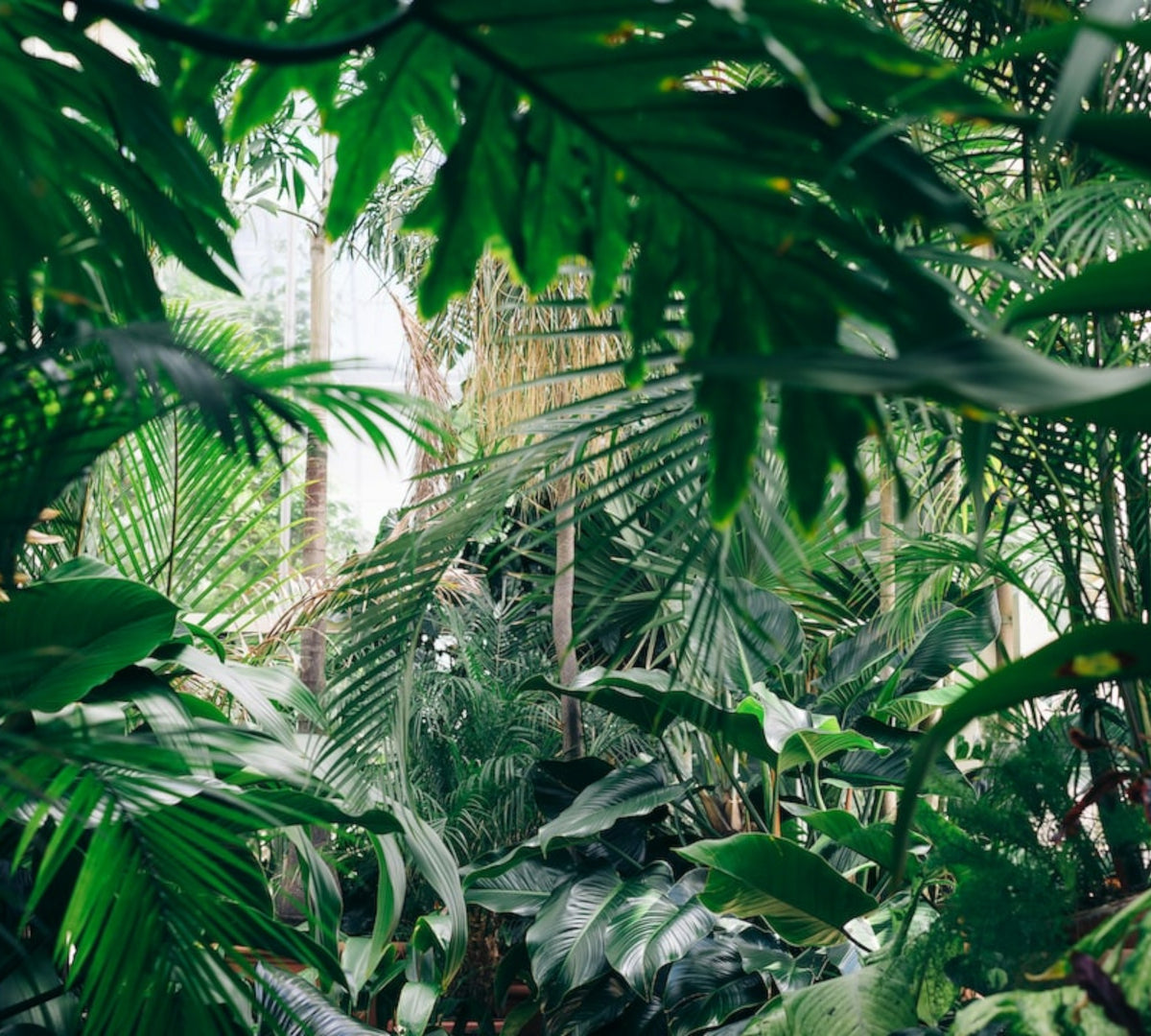 All – Sturon Nursery